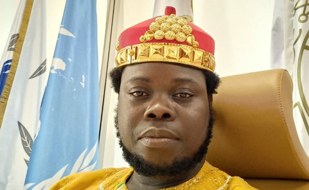 MMUN West Africa inaugurates Ghana Board - The Montessori Post